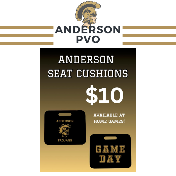 Anderson Public School - Anderson Seat Cushions